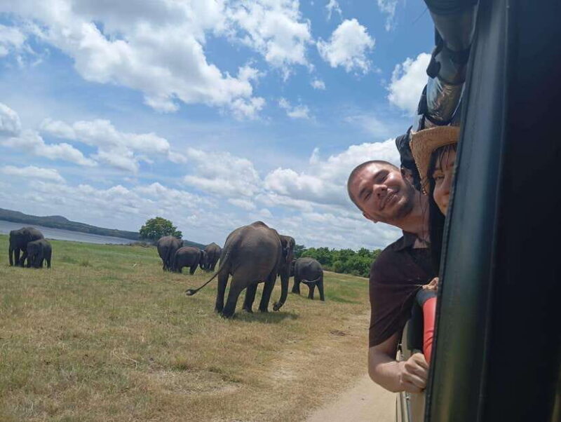 Minneriya: Half-Day Morning or Evening Jeep Safari - Practicalities and Tips