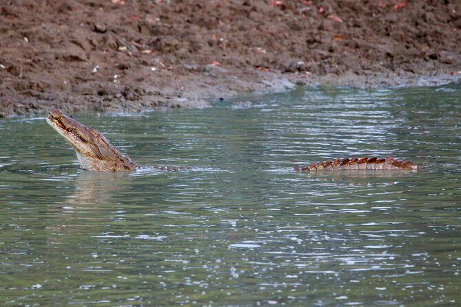 Minneriya Half Day Safari - Who Is This Tour Best For?