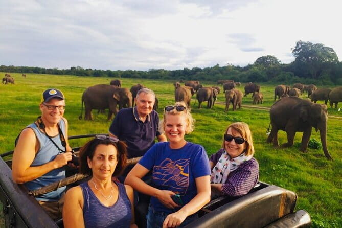 Minneriya Half Day Safari Tour - Minneriya Half Day Safari Tour: An Honest Look at a Wildlife Adventure