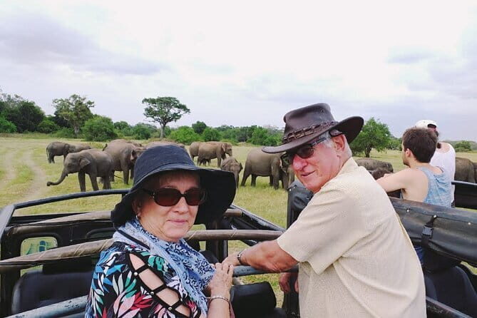 Minneriya Half Day Safari Tour - Who Should Book This Tour?