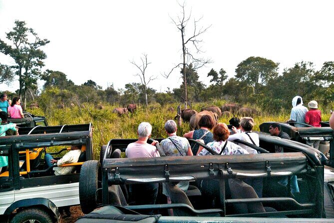Minneriya / Kaudulla National Park Jeep Safari - Discovering the Wildlife of Sri Lanka