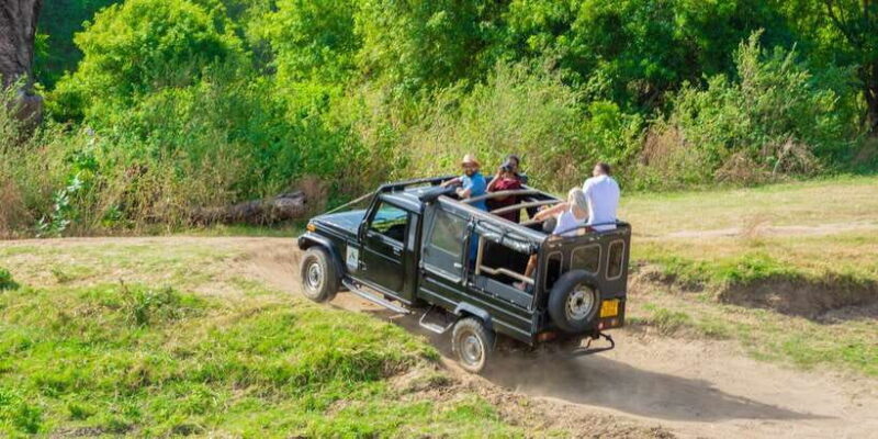 Minneriya: Minneriya National Park Private Safari - Stop 1: Pickup and Journey