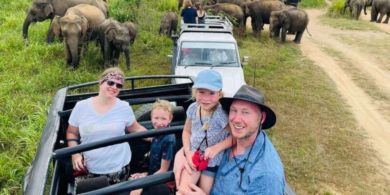Minneriya National Park 4x4 jeep Safari Include Entrance Fee - Who Should Consider This Tour?
