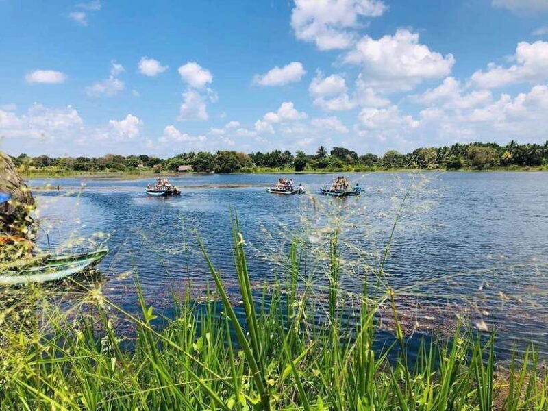 Minneriya National Park 4x4 Safari Wild Elephant Experience - An In-Depth Look at the Minneriya Safari Experience