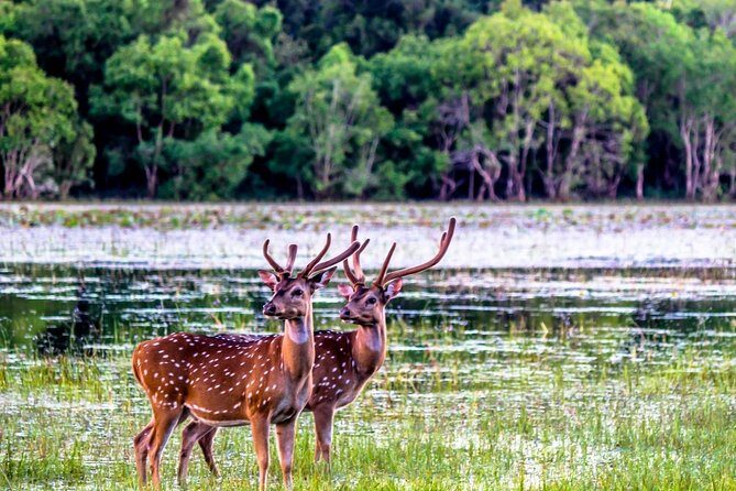 Minneriya National Park ( All Inclusive ) and Sigiriya Day Excursion - FAQ