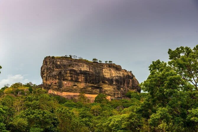 Minneriya National Park and Sigiriya Day Trip from Kalutara - Why This Tour Offers Good Value