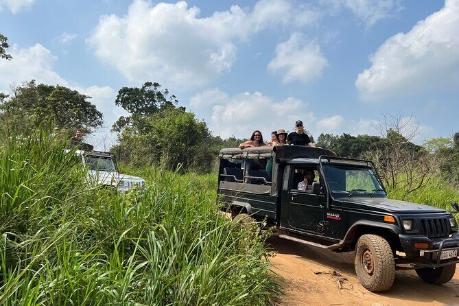 Minneriya National Park Elephant Safari from Sigiriya - Transport and Group Size