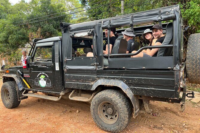 Minneriya National Park Elephant Safari Tour - Who Should Consider This Tour?