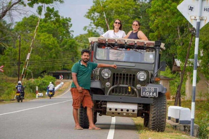 Minneriya National Park: Half-Day Evening Jeep Safari - Potential Drawbacks to Keep in Mind
