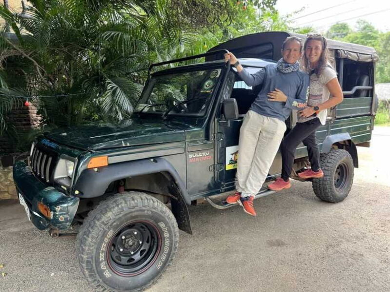 Minneriya National Park: Half-Day Evening Jeep Safari - The Practicalities: Duration, Timing, and Group Size