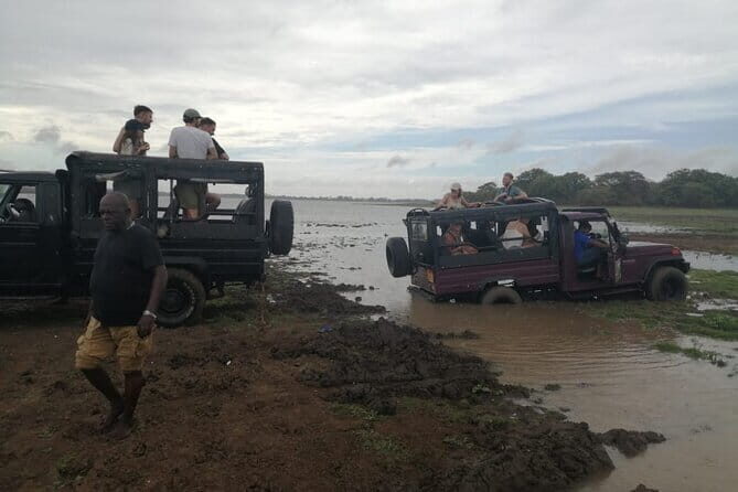 Minneriya National Park Half day Jeep Safari with Hotel Pickup - Why This Tour Is a Smart Choice for Travelers