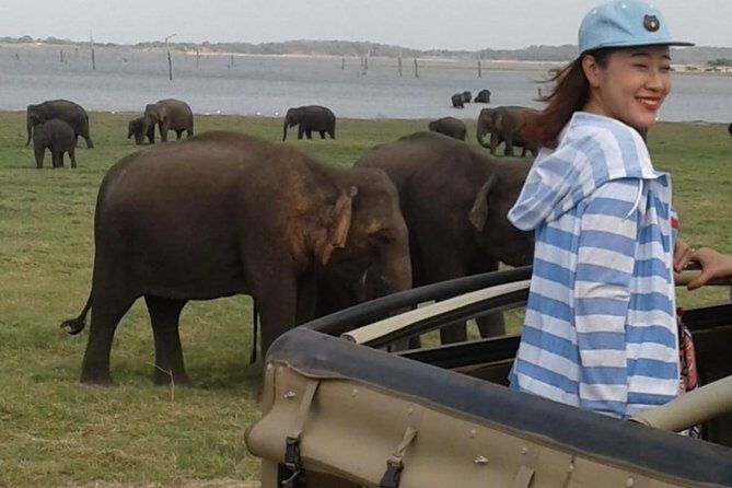 Minneriya National Park private safari - The Sum Up: Is This Safari Worth It?