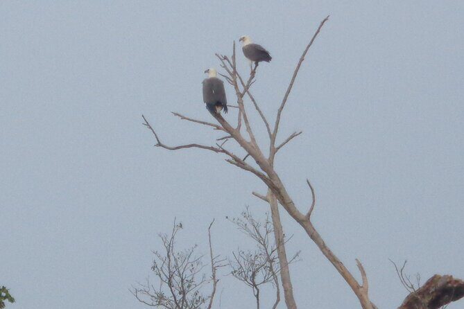 Minneriya National Park Private Safari from Habarana - Key Points