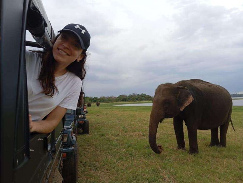 Minneriya National Park: Private Safari with Hotel Pick-up - Key Points