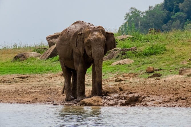Minneriya National Park Safari from Polonnaruwa - Setting the Scene: An Authentic Sri Lankan Safari