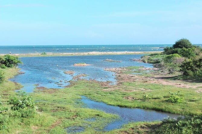 Minneriya National Park Safari | Jeep with Tickets - Final Thoughts: Who Should Sign Up?