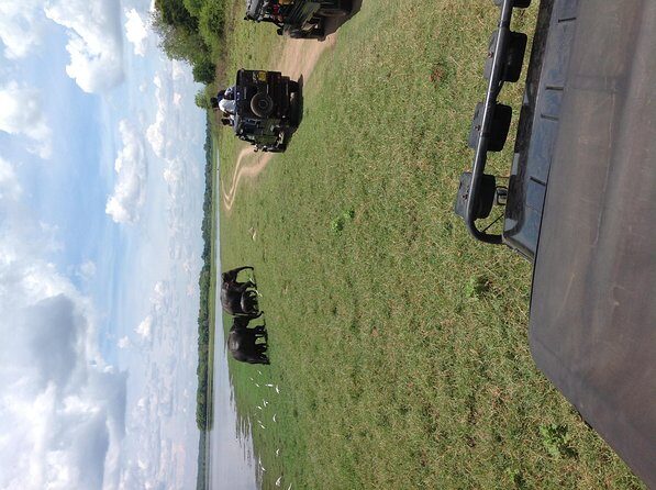 Minneriya National Park Safari Tour From Dambulla or Polonnaruwa - Practical Tips for Your Safari Experience