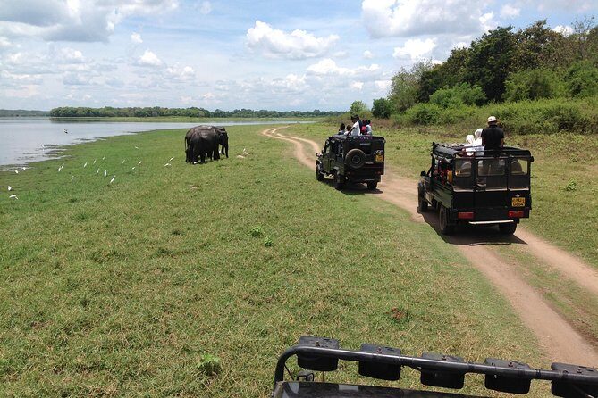 Minneriya National Park Safari Tour From Dambulla or Polonnaruwa - Final Thoughts