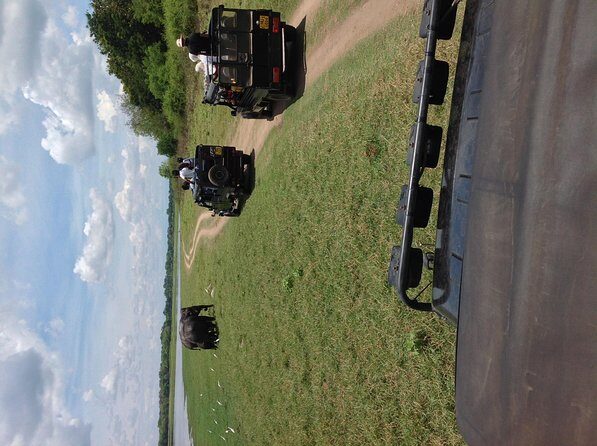 Minneriya National Park Safari Tour From Dambulla or Polonnaruwa - FAQ