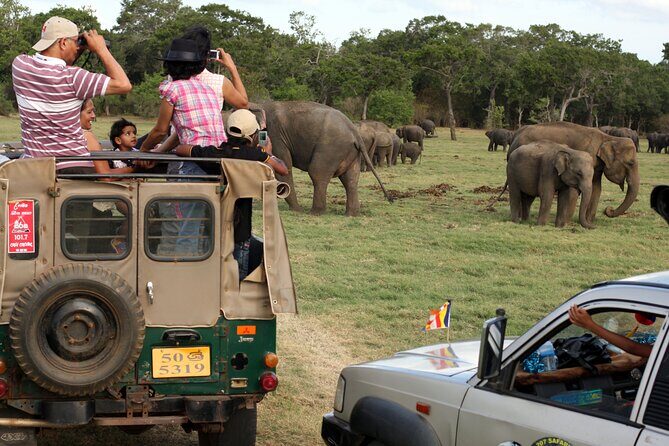 Minneriya Safari Tour from Sigiriya - FAQs About the Minneriya Safari from Sigiriya