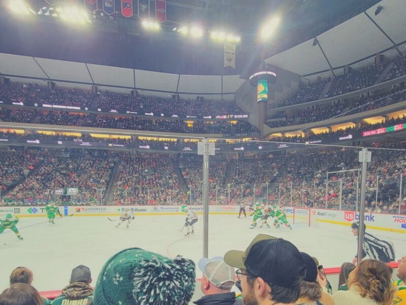 Minnesota: Minnesota Wild Ice Hockey Game Ticket - Who Should Consider This?