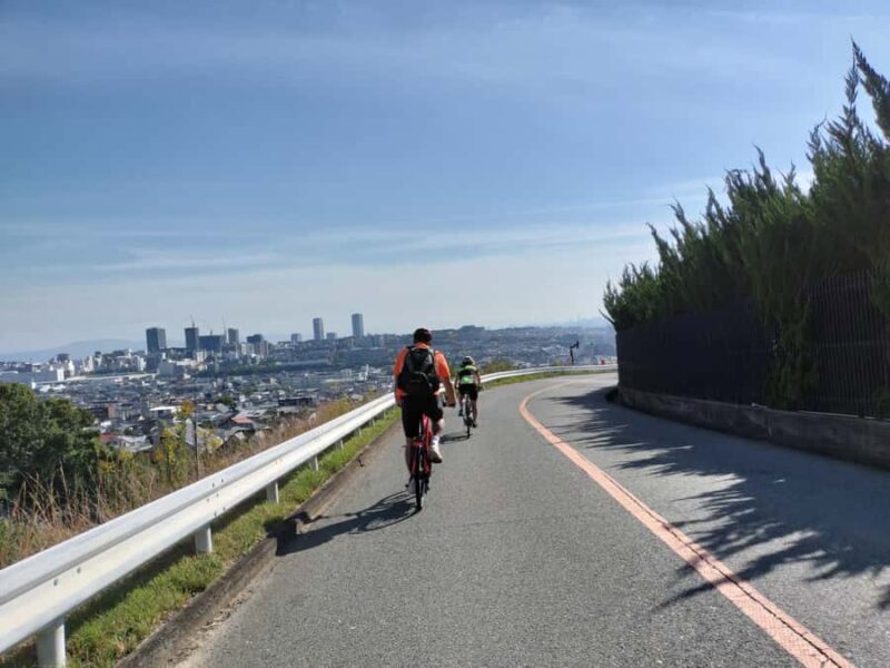 Minoh Falls & Katsuoji Temple Half Day E-Bike Tour - Key Points