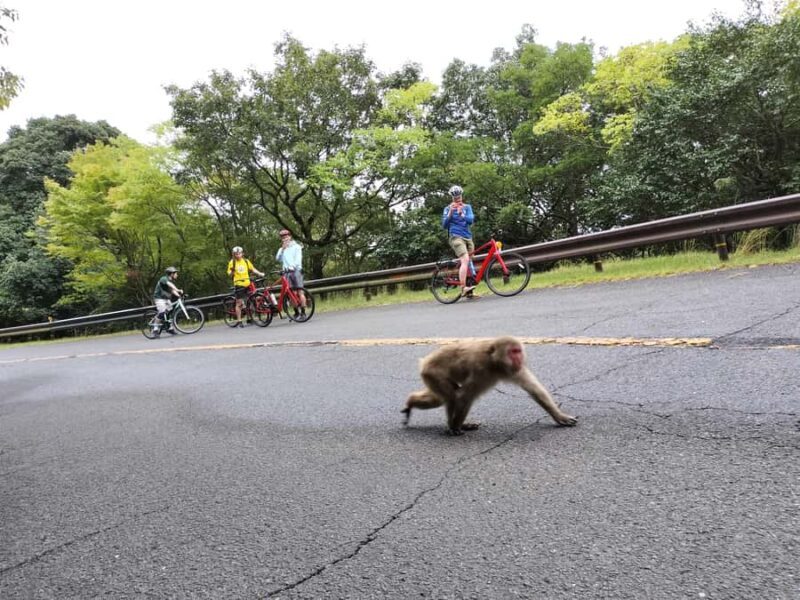 Minoh Falls & Katsuoji Temple Half Day E-Bike Tour - Cost and Value