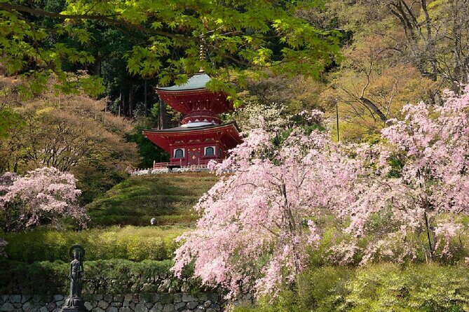 Minoh Katsuoji Temple Walking Tour with Local Guide - FAQ
