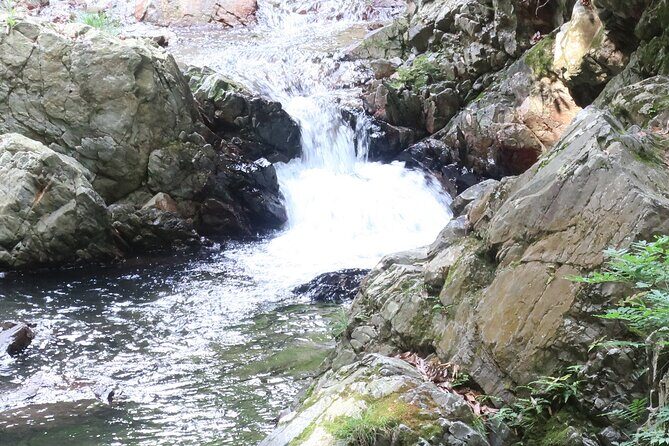 Minoh Waterfall and nature walk through the Minoh Park - FAQs