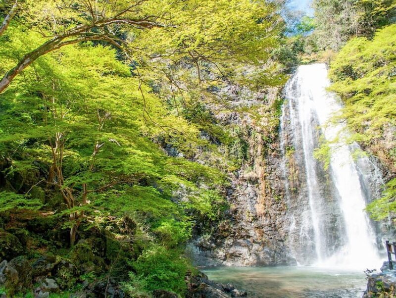Minoo Park: Guided Nature Walk - Walking into the Heart of Minoo