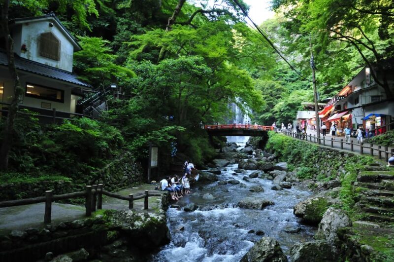 Minoo Park: Guided Nature Walk - Sampling Minoo’s Unique Tempura