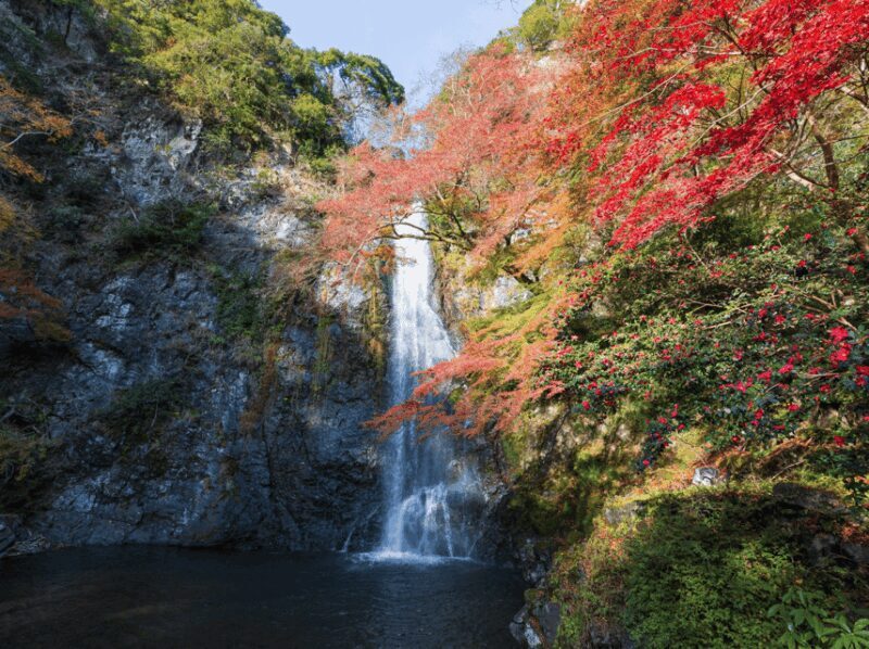 Minoo Park: Guided Nature Walk - Ending with a Soothing Foot Spa