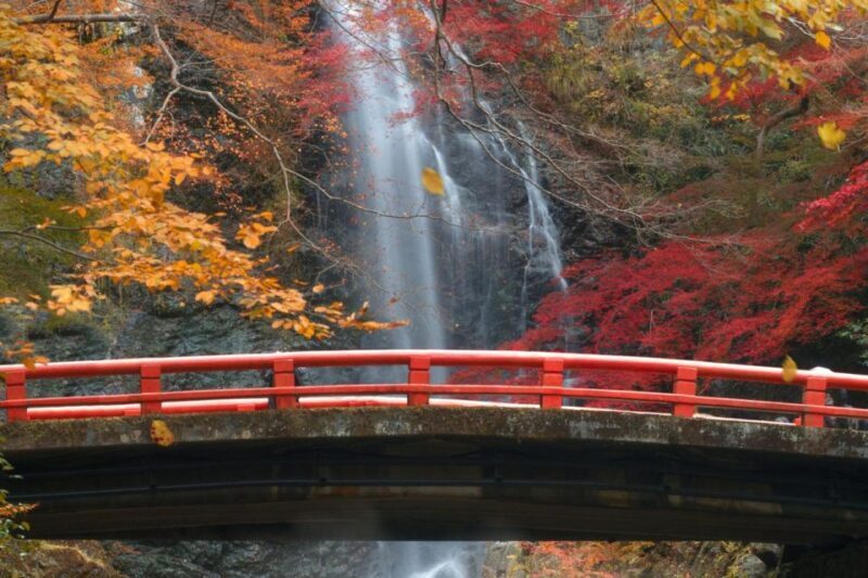 Minoo Park Private Tour: Nature, Temples, and Coffee Bliss - Key Points