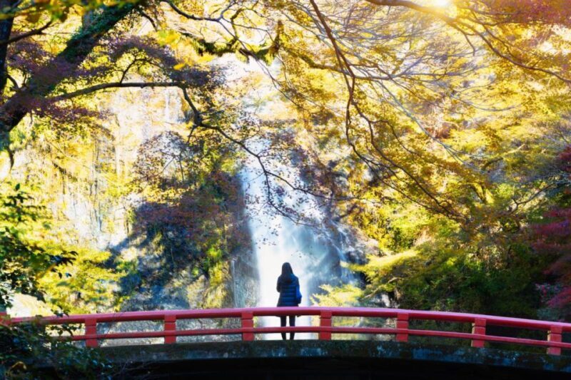 Minoo Park Private Tour: Nature, Temples, and Coffee Bliss - How This Tour Compares to Similar Experiences
