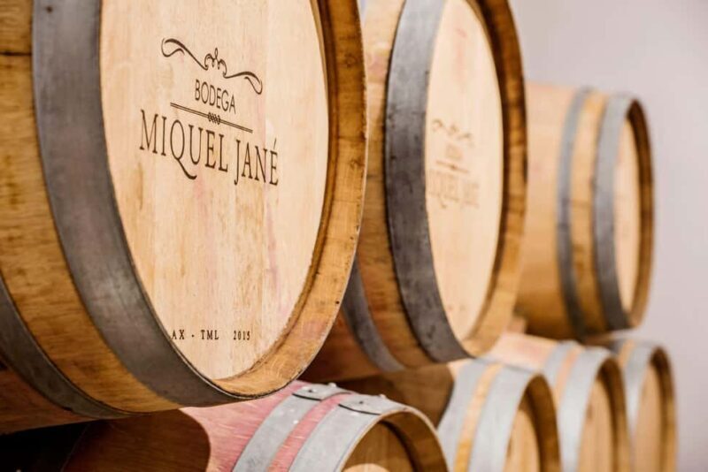 Miquel Jané Winery: tour with audio guide - Introduction