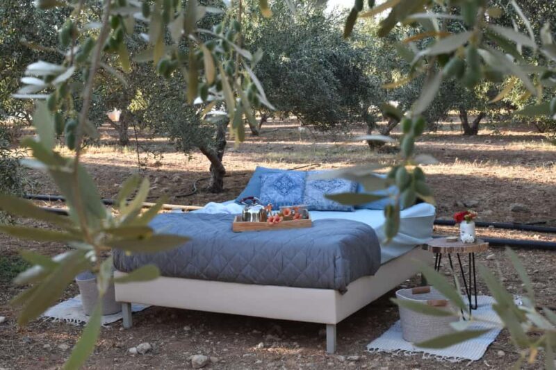 Mires: Cooking Class & Stargazing with Luxury Outdoor Sleep - Who Will Love This Experience?
