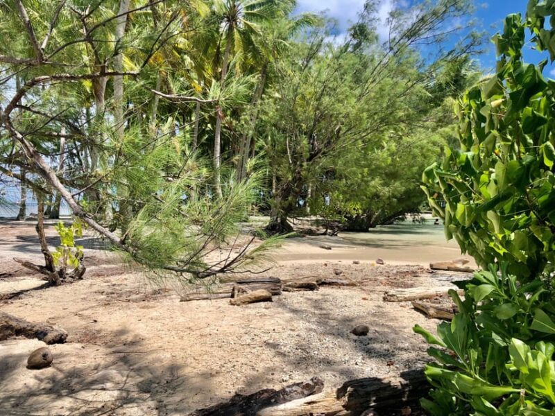 Mirimiri Tours: Visits, Surprises, Swimming and Sunset - Key Points