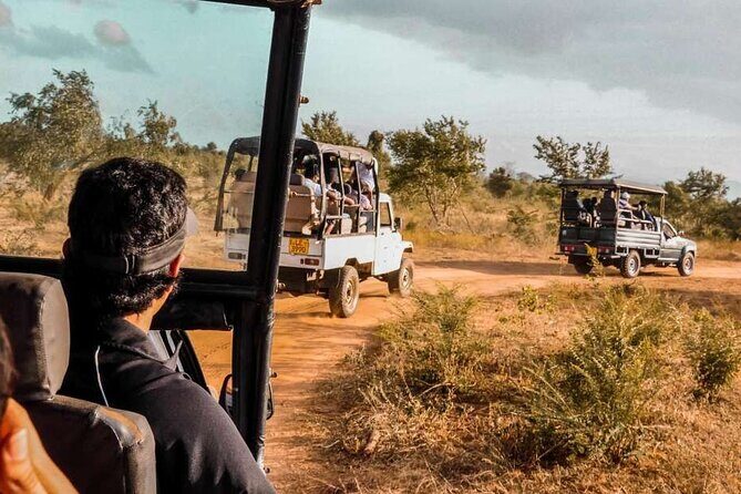 Mirissa , Galle , Bentota to Udawalawe National Park Day Tour - Transport and Duration