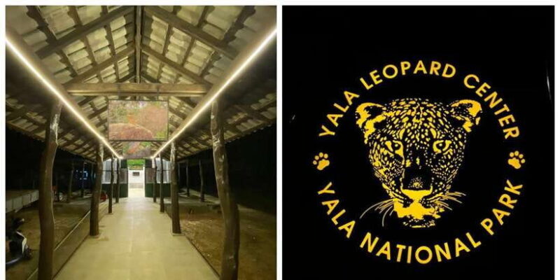 Mirissa/Galle: Transfer to Ella & YALA & UDAWALAWA Safaris - An In-Depth Look at the Tour Experience