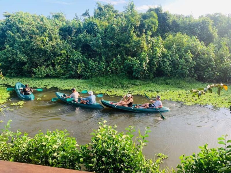 Mirissa: Kayak Safari Adventure Through Mangrove - Exploring the Garanduwa Mangrove Forest