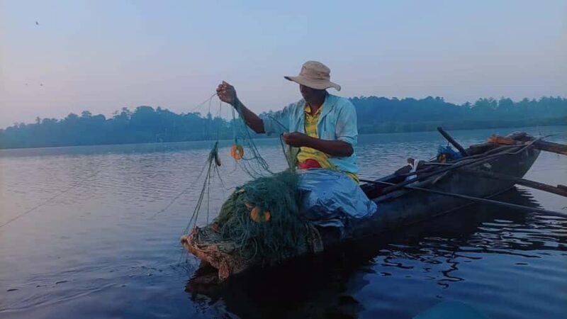 Mirissa: Kayak Safari Adventure Through Mangrove - Learning About the Ecosystem and Conservation
