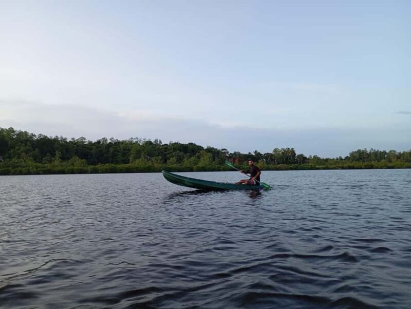 Mirissa: Kayak Safari Adventure Through Mangrove - The Sum Up