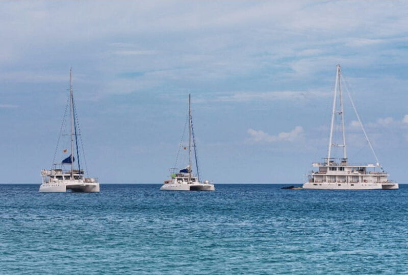 Mirissa: Luxury Sailing Boat Dolphin and Whale Watching - The Experience and Atmosphere