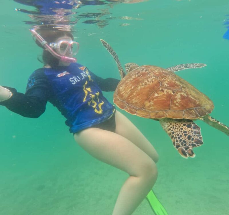 Mirissa: Ocean Magic Snorkeling with Turtles - An Honest Look at the Mirissa Snorkeling Tour