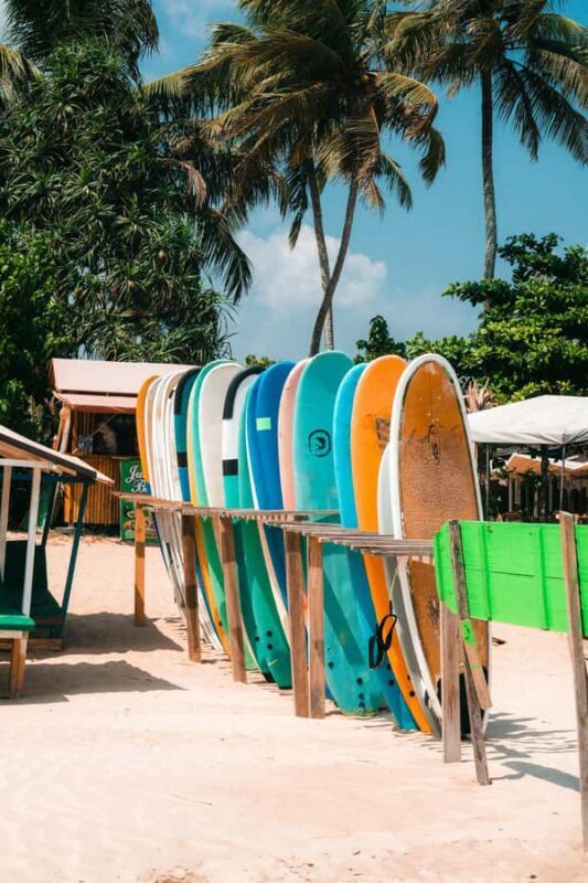 Mirissa or kalpitiya surf camp tour for beginners & experts - Discovering Sri Lanka’s Surf and Culture in One Day
