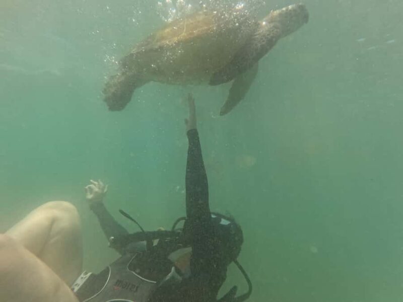 Mirissa: Scuba Diving Experience & Refreshments for Beginner - The Sum Up