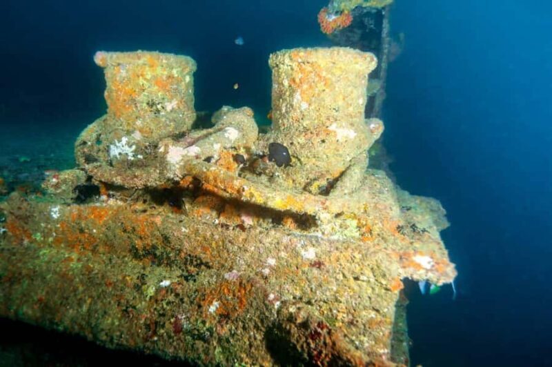 Mirissa: Scuba Diving & Shipwreck Dives for All Levels - Final Words