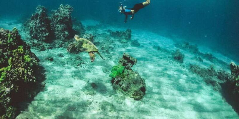 Mirissa: Snorkeling Experience with Turtles - Practical Tips for Travelers