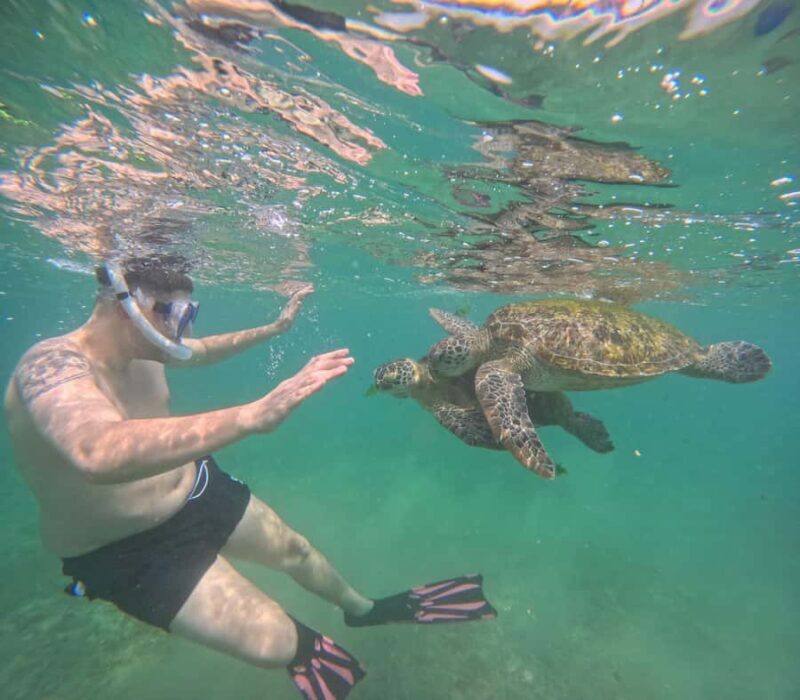 Mirissa Snorkeling Tour with Turtle Adventure and Free Video - Key Points