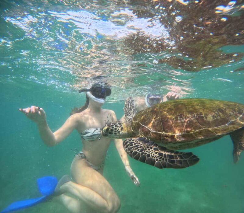 Mirissa Snorkeling Tour with Turtle Adventure and Free Video - An Honest Look at the Mirissa Snorkeling Experience